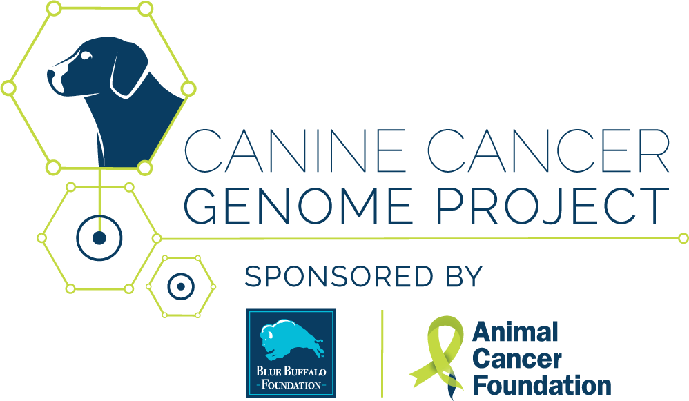Our Work | Animal Cancer Foundation