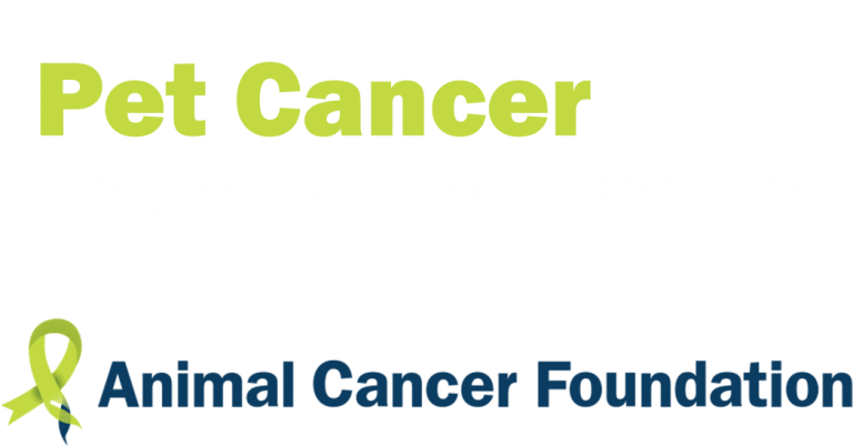 Animal Cancer Foundation