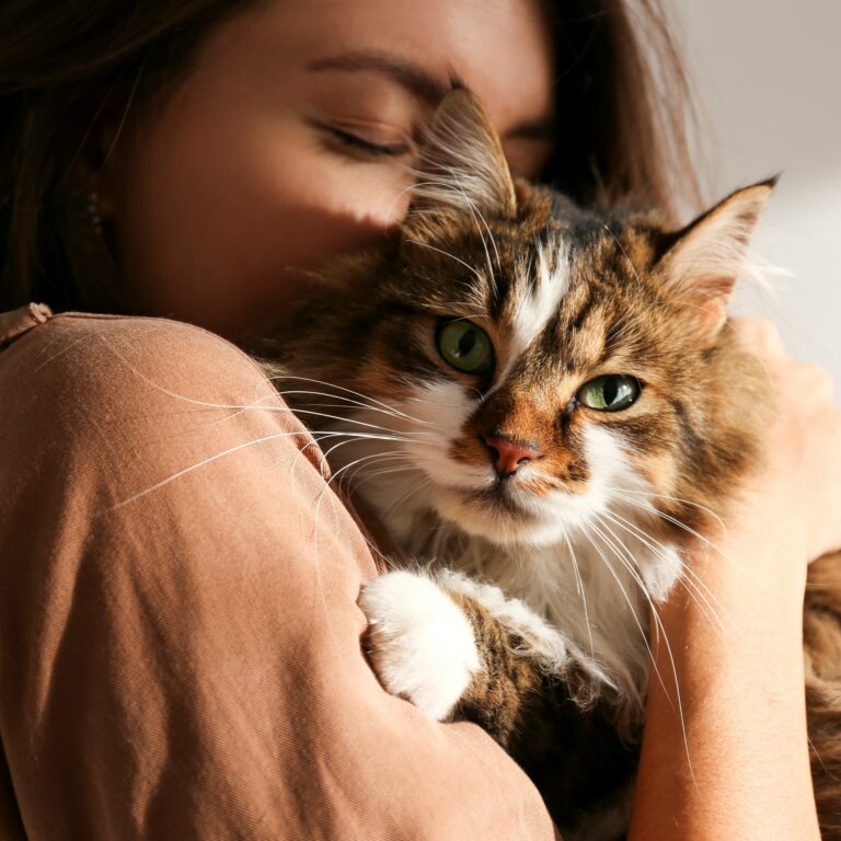 Financial Assistance | Animal Cancer Foundation