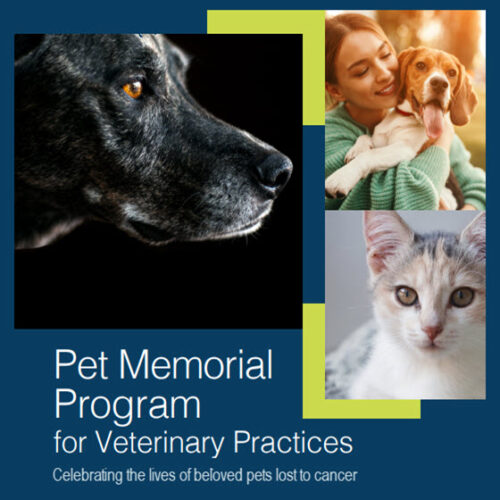 Pet Memorial For Veterinary Practices | Animal Cancer Foundation
