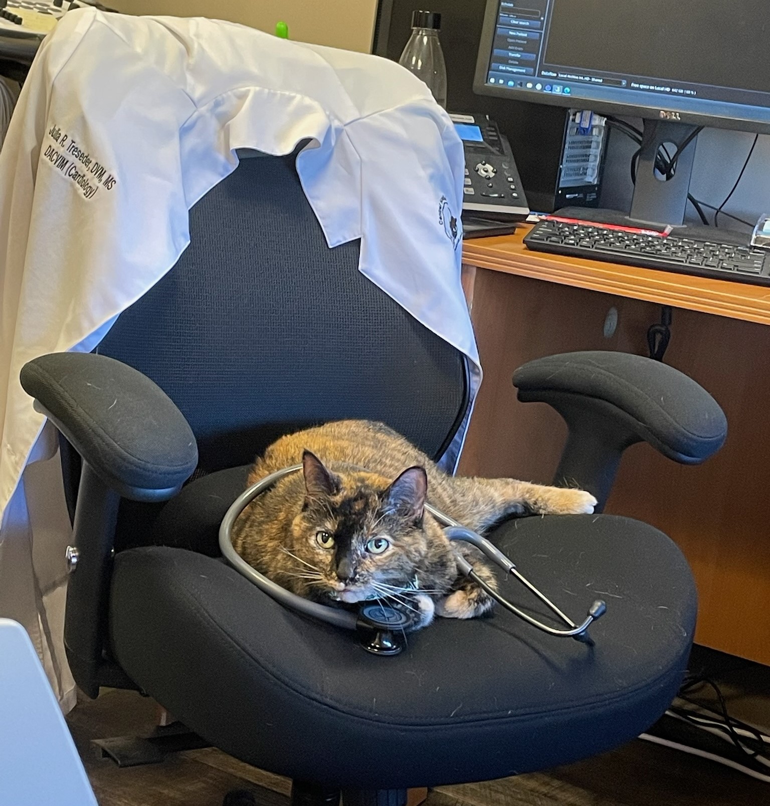 Beatrice | Animal Cancer Foundation